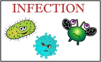 What is Infection? Definition, Classification, Sources & Pathway ...