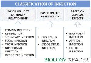What is Infection? Definition, Classification, Sources & Pathway - Biology Reader