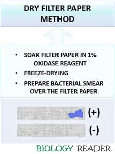 What is Oxidase Test? Definition, Principle, Procedure, Uses ...