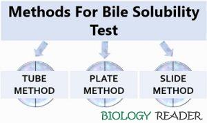 Bile Solubility Test - Definition, Principle, Procedure & Results ...