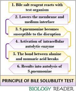 Solubility Test