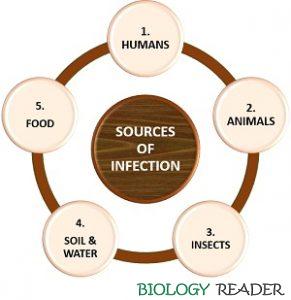 What is Infection? Definition, Classification, Sources & Pathway ...